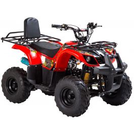 X-Pro Worker 110cc - Mellansyskonet i familjen